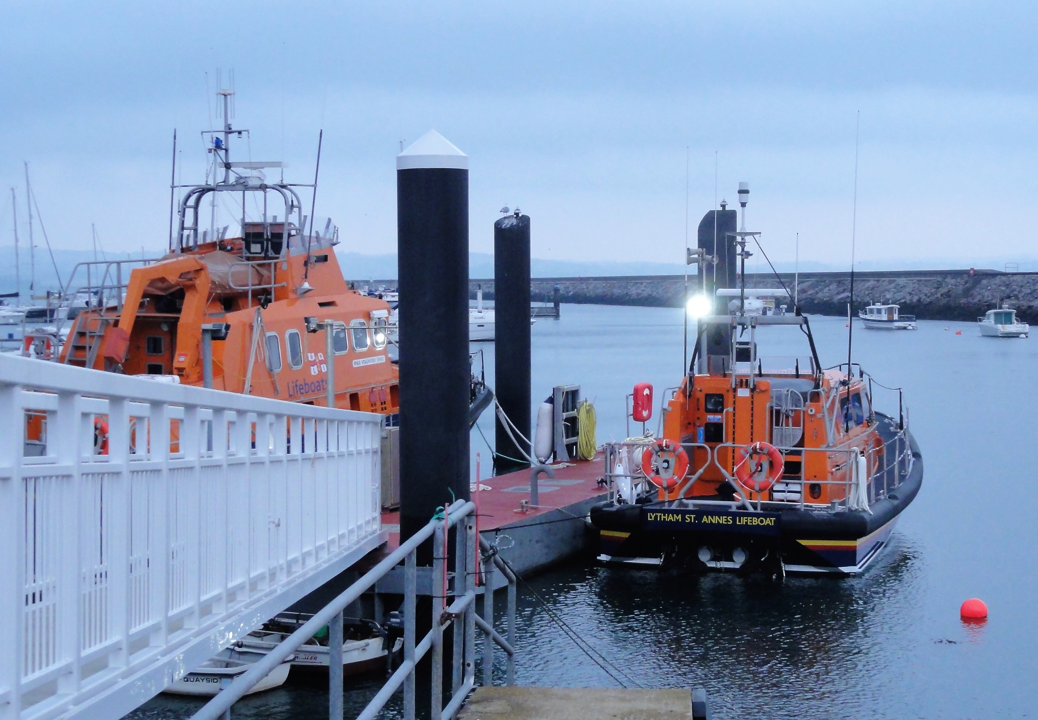 RNLI Torbay all-weather lifeboat has fleeting overnight companion … | RNLI