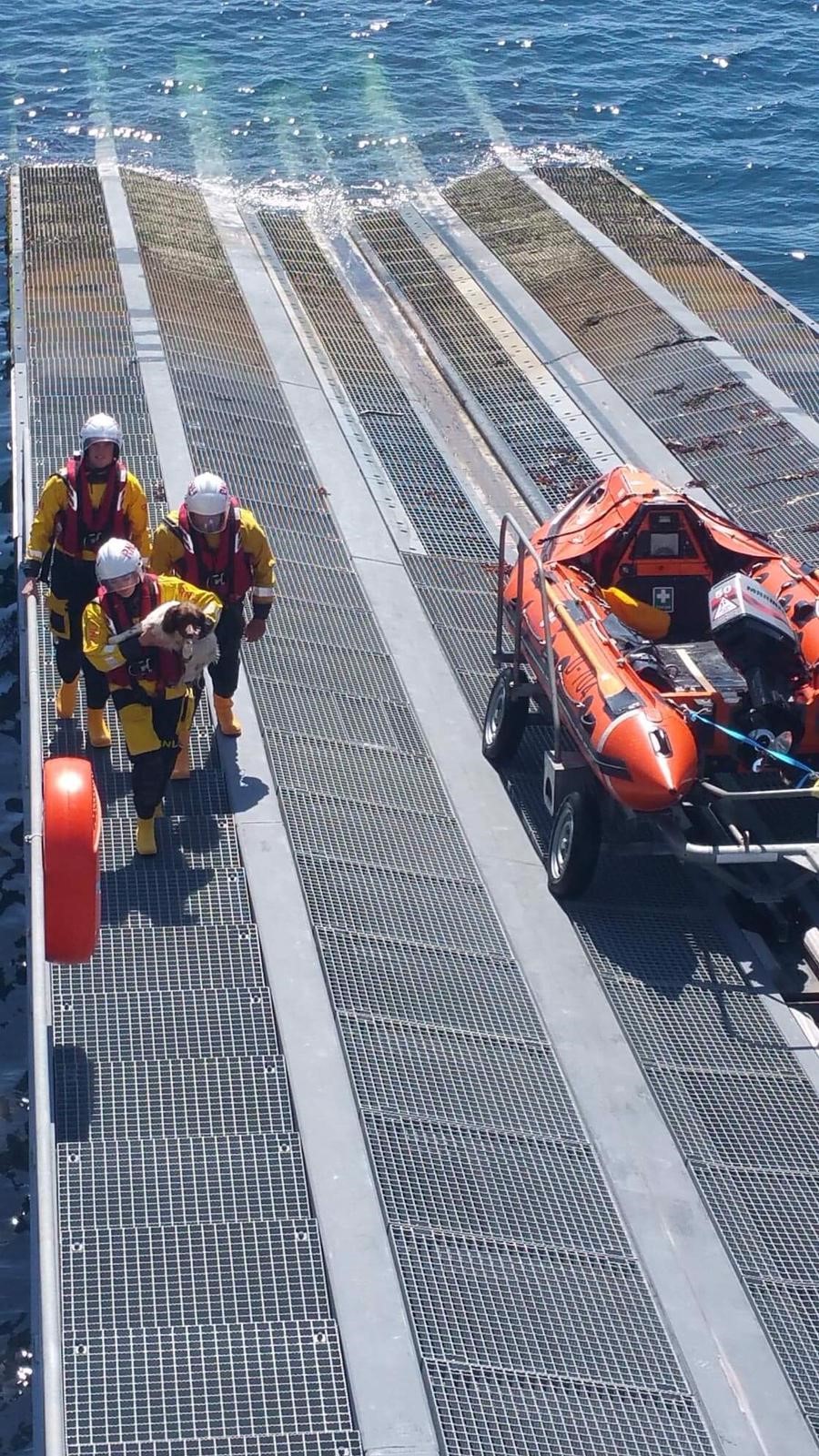 St Davids RNLI lifeboat called to a dog over cliff | RNLI