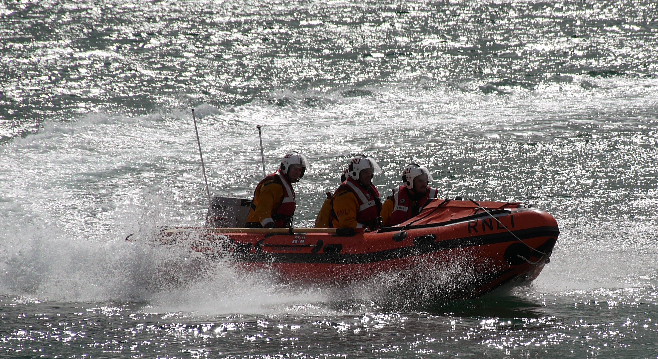 Portrush RNLI launches to dog that had fallen from a cliff near Giants ...