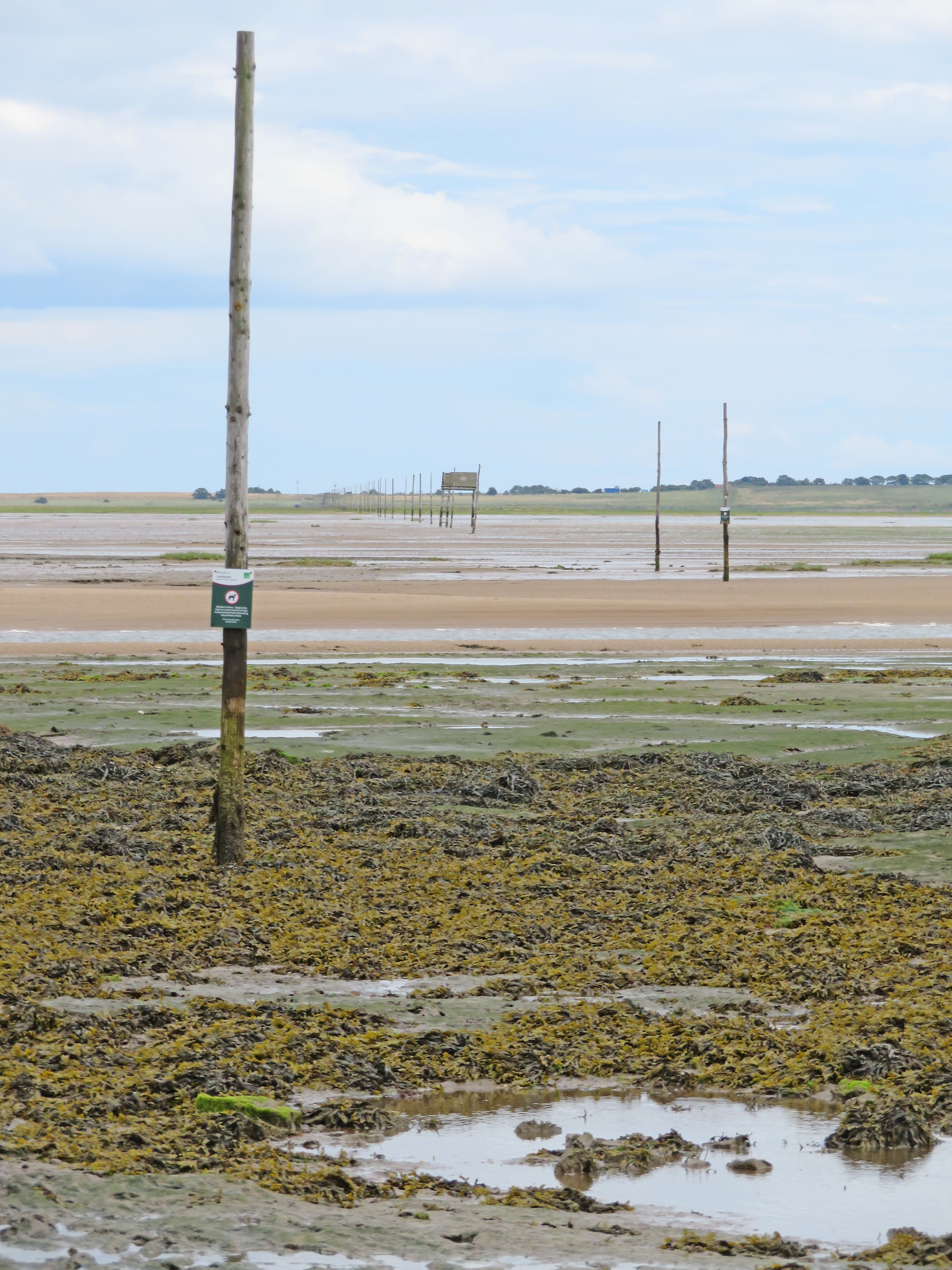 Seahouses inshore lifeboat called to three people in the water at ...