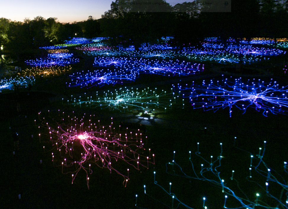 World-renowned artist’s Field of Light installation comes to Salcombe ...